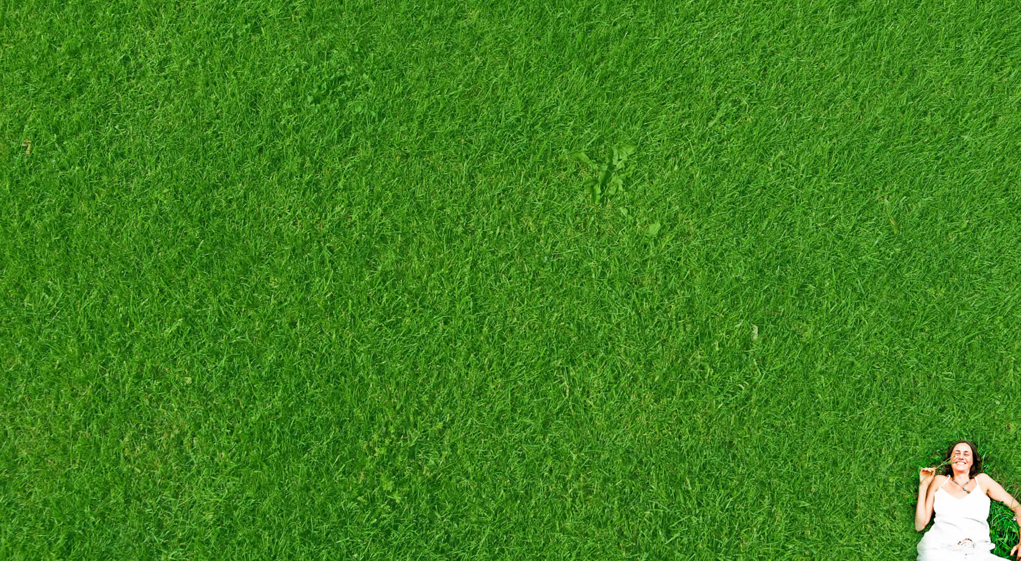 p-anand - WildTantra